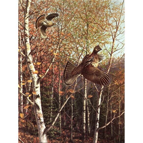 None and/or Unknown | Other | Ruffed Grouse In Flight Lynne Bogue Hunt ...